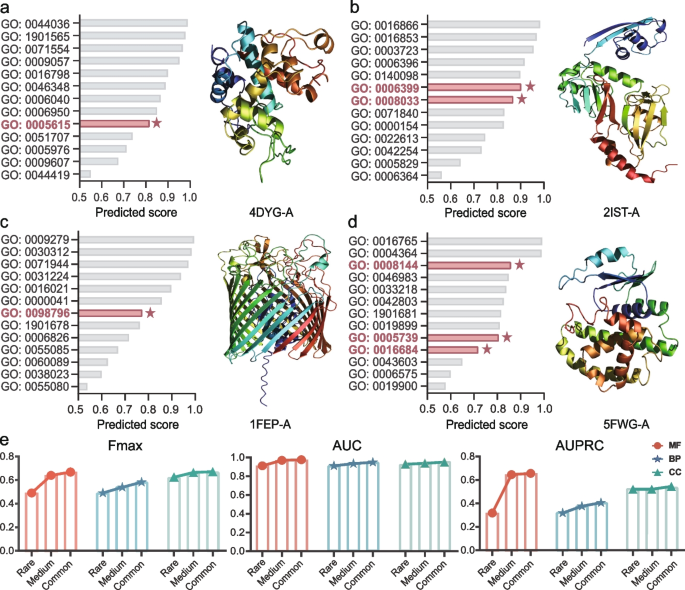 A scalable equivariant graph network framework for precise protein function prediction | Genome ...