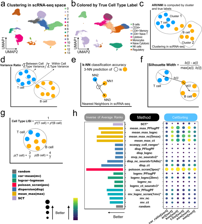 A systematic evaluation of highly variable gene selection methods for single-cell RNA-sequencing ...