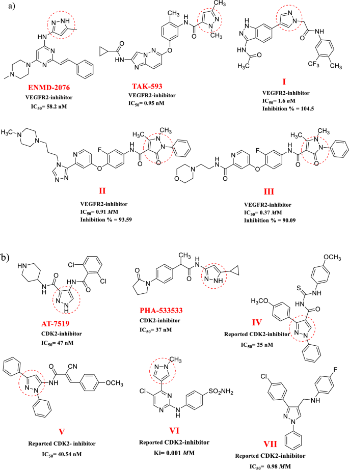 Design, synthesis, and biological investigations of new pyrazole derivatives as VEGFR2/CDK-2 ...