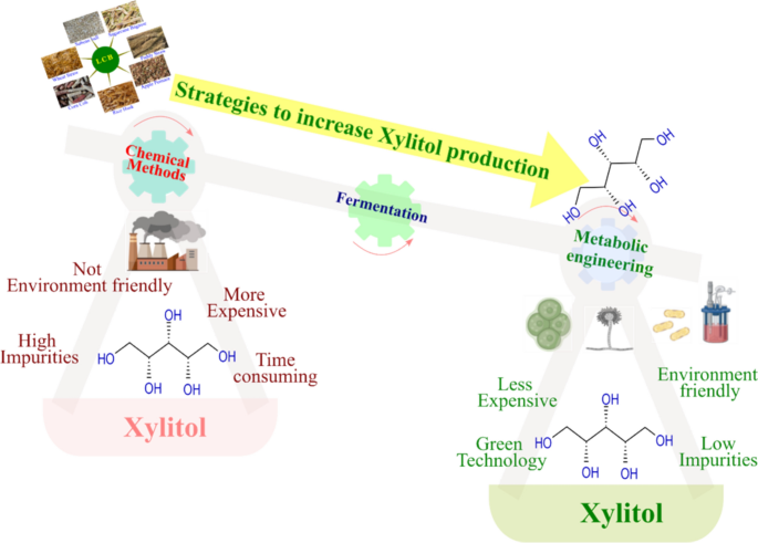 Current trends in the production of xylitol and paving the way for ...