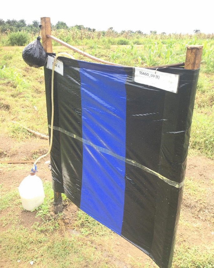 Improving onchocerciasis elimination surveillance: trials of odour ...