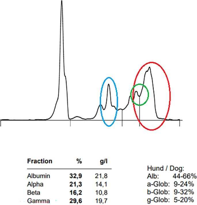 Evidence for in vivo resistance against allopurinol in a dog infected ...