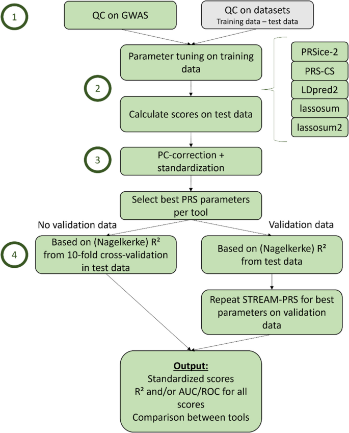 STREAM-PRS: a multi-tool pipeline for streamlining polygenic risk score ...