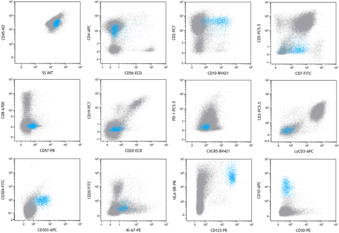 Proliferation of CD10+ mature plasmacytoid dendritic cells in lymph ...