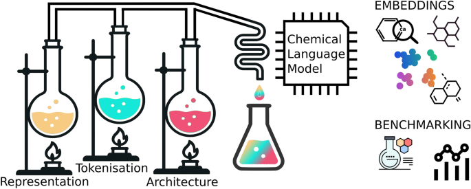 Beyond performance: how design choices shape chemical language models ...