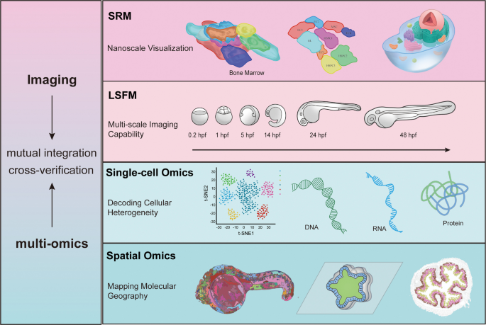 When imaging technology meets single-cell omics: new paradigm in ...