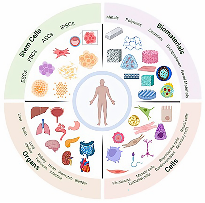 Current status and new horizons in stem cell therapy in cardiovascular ...