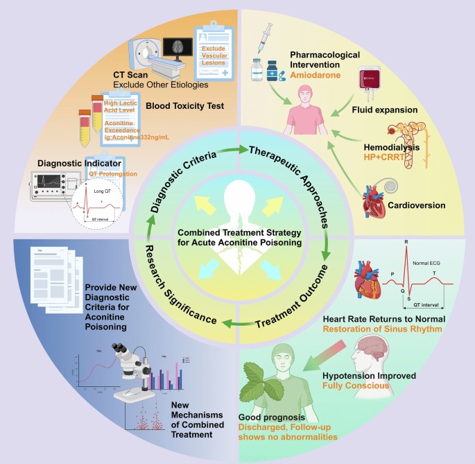 Combined blood purification and antiarrhythmic therapy for acute ...