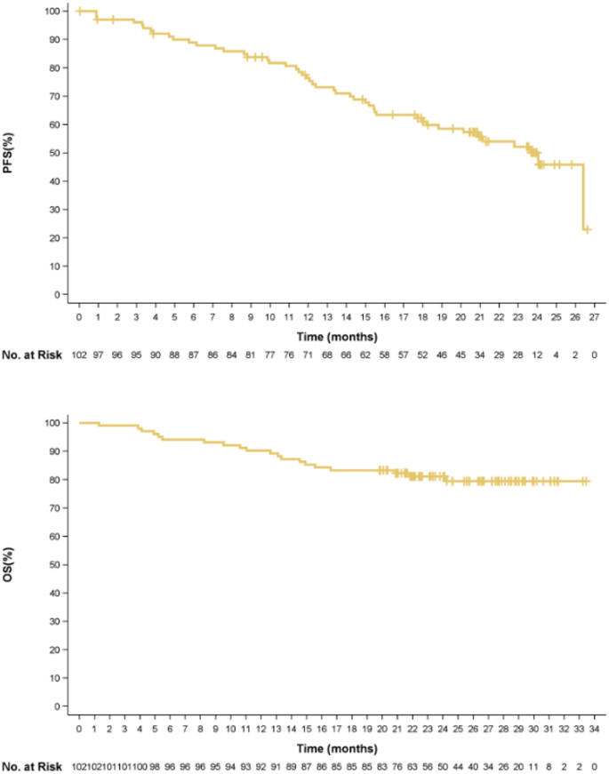 Phase II study of zevorcabtagene autoleucel, a fully human BCMA ...
