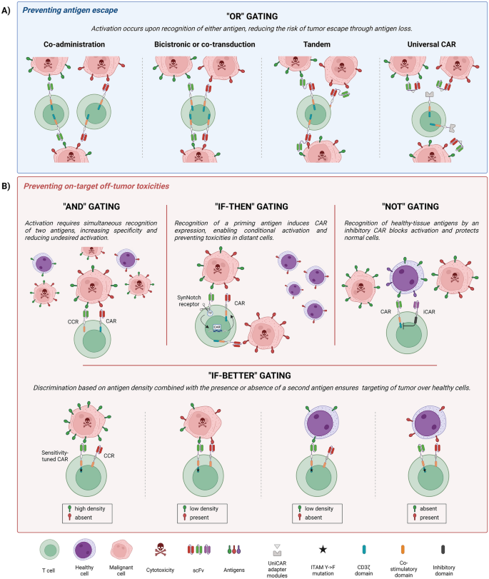 Emerging strategies in CAR-T cell therapy for acute myeloid leukemia ...