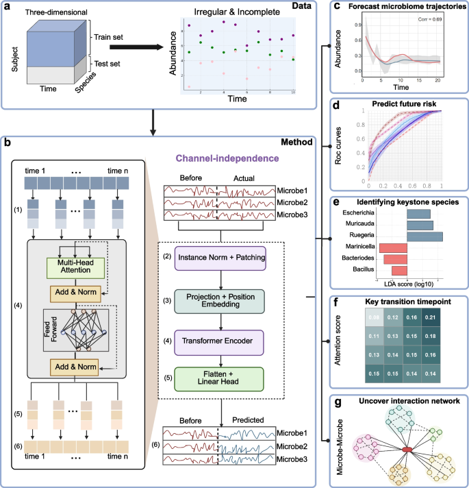 A temporal-aware machine learning framework enables microbial community ...