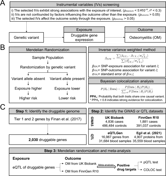 Identification of genetically-supported new drug targets for ...