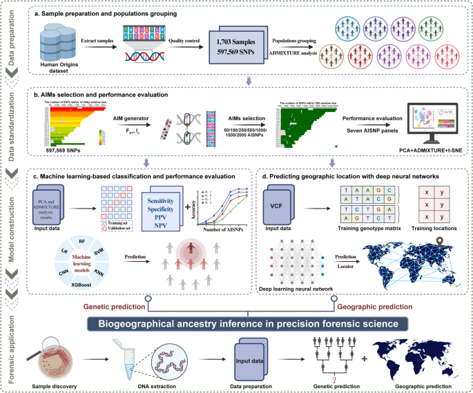 Integrated genetic and geographic ancestry prediction via large-scale ...