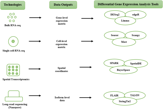 From bulk RNA sequencing to spatial transcriptomics: a comparative ...
