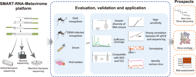 SMART-RNA-Metavirome – a practical RNA metavirome platform compatible with high-throughput ...