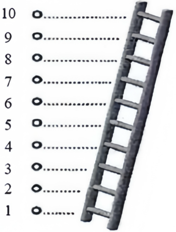 The negative association of low subjective socioeconomic status with ...