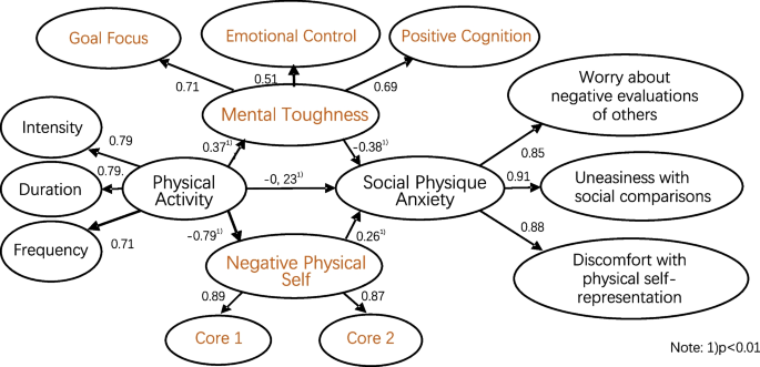 The effects of physical activity on social physique anxiety in college ...