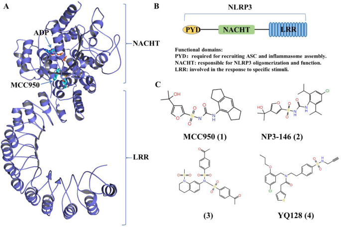 Computational study on the mechanism of small molecules inhibiting ...