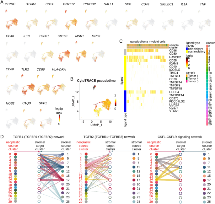 Publisher Correction: Ganglioglioma deep transcriptomics reveals ...