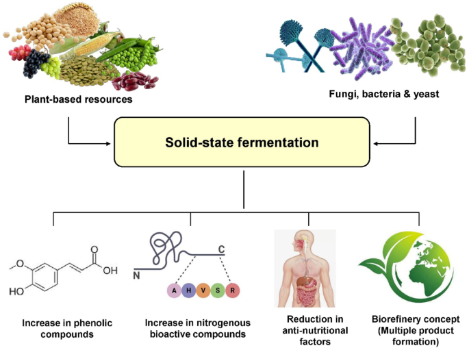 Solid-state fermentation as a strategy for improvement of bioactive properties of the plant ...