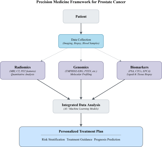 Precision medicine in prostate cancer: individualized treatment through ...