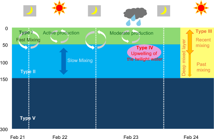 Diel and daily changes of water mass structure and biogeochemical ...