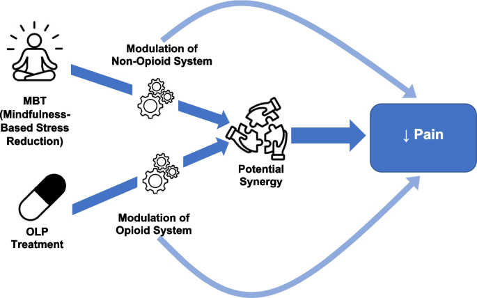 Combining mindfulness intervention and open-label placebo treatment for ...