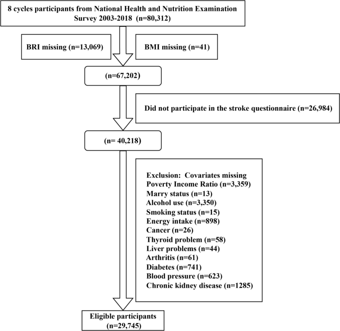 Both body roundness index and the body mass index increase the ...