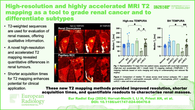 High-resolution and highly accelerated MRI T2 mapping as a tool to ...
