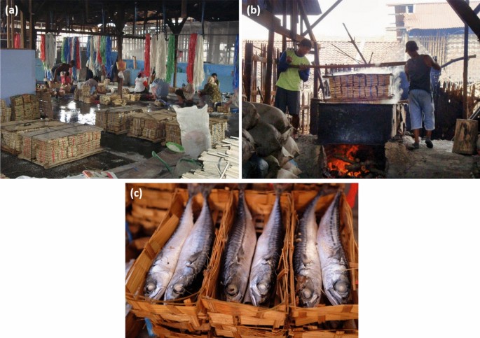 Improving the safety of pindang, a traditional fish product from ...