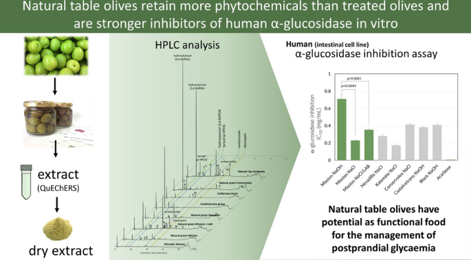 Human α-glucosidase inhibition and phytochemical profile of natural and shinzuke treated olives ...