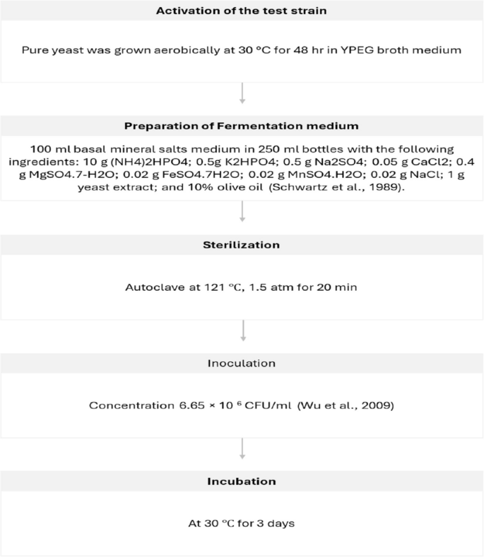 The potential protective effects of fermented extra virgin olive oil on ...