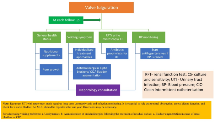 Posterior urethral valves in children: from antenatal diagnosis to long ...