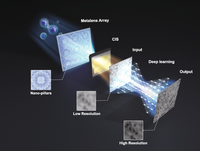 Transformer-based neural network enabled subpixel-resolution in wide-field meta-microscope ...