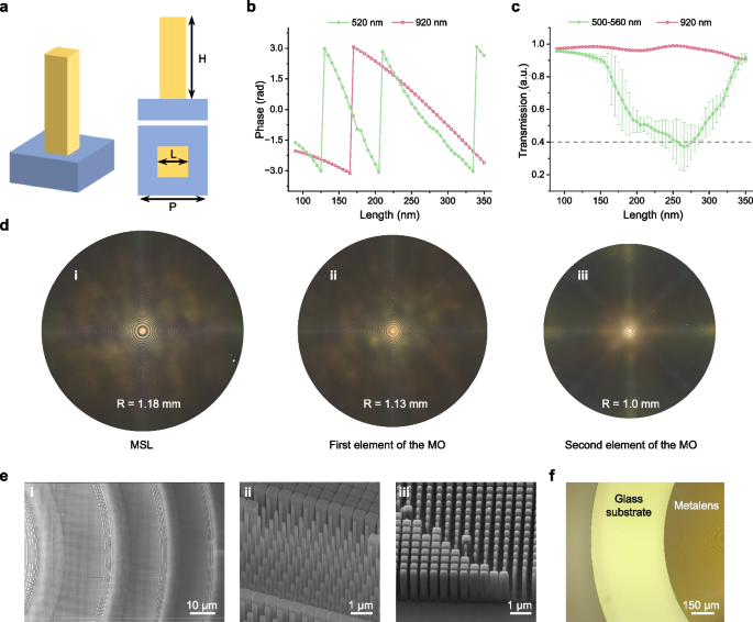 Compound metalens-based miniature two-photon microscope for large-FOV ...