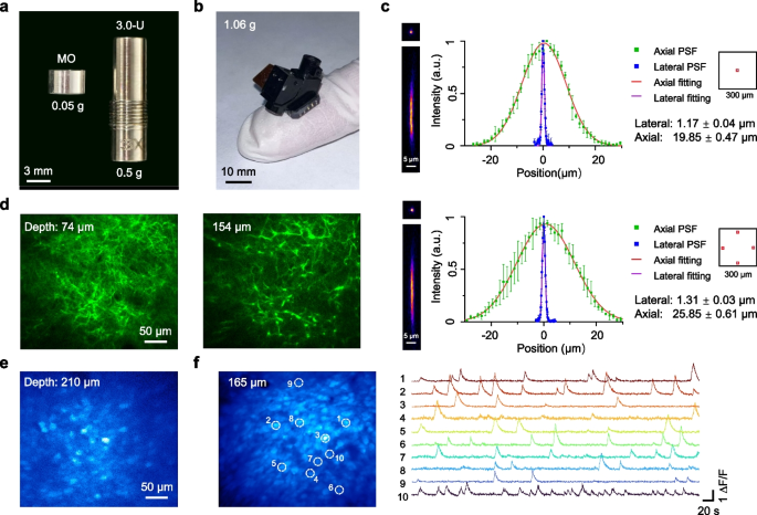 Compound metalens-based miniature two-photon microscope for large-FOV ...