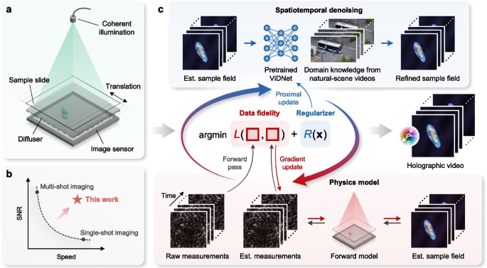 Model-based deep learning enables time-resolved computational ...