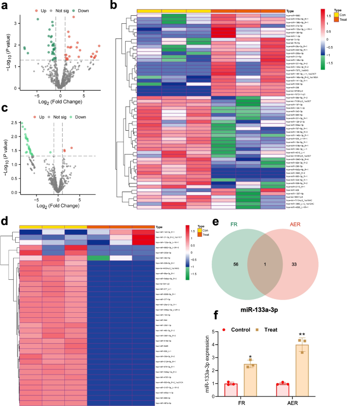 CircMYH9/miR-133a-3p/CXCR4 axis: a novel regulatory network in sperm ...