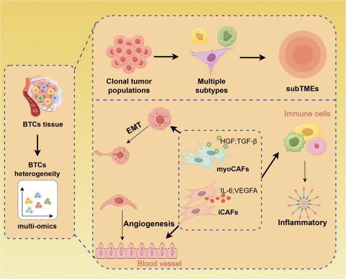 Single-cell multi-omics in biliary tract cancers: decoding ...
