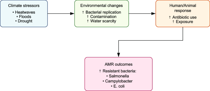 Climate change and antimicrobial resistance in foodborne bacteria: a ...