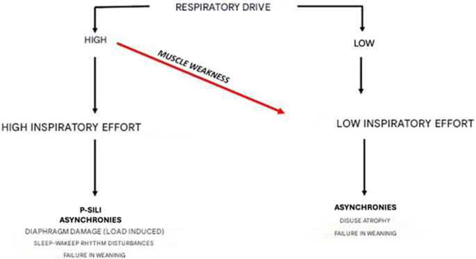 Monitoring of invasive assisted mechanical ventilation: a good clinical ...