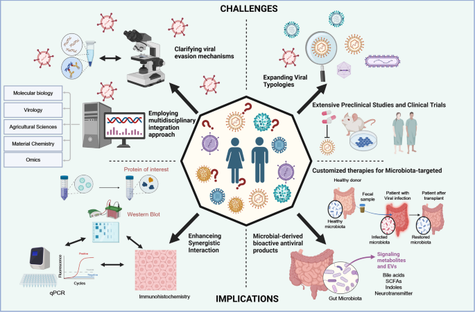 Crosstalk between gut microbiota and viral pathogens: oxidative stress ...