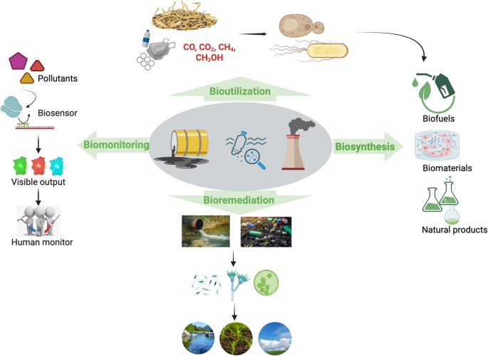 Metabolic engineering and synthetic biology for the environment: from ...