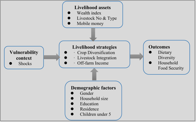 Impact of livelihood diversification on household food security and ...