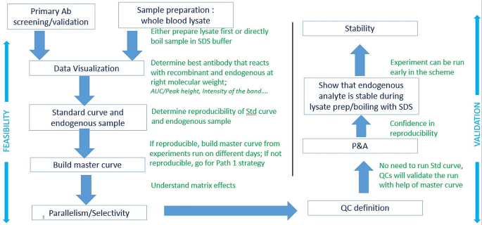 Recommendations for Development and Validation of a Fit-For-Purpose ...