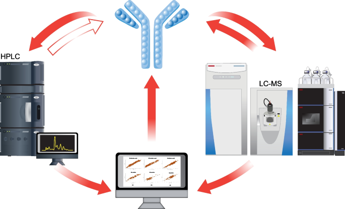 Exploring the Correlation between LC–MS Multi-Attribute Method and Conventional Chromatographic ...