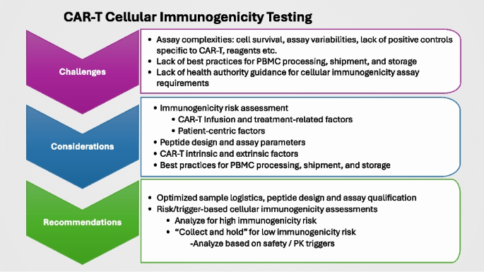 Cellular Immunogenicity Assessments in CAR-T Cell Therapies: Current ...