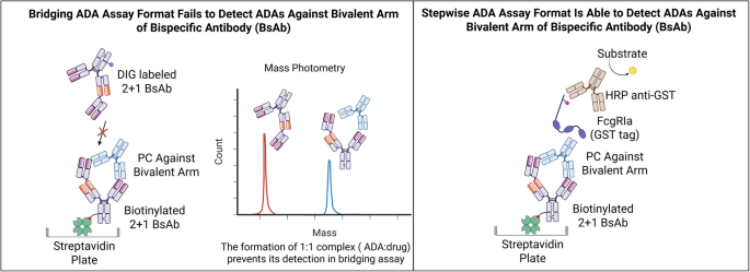 A Fit-for-purpose Strategy for Clinical Immunogenicity Assessment of ...
