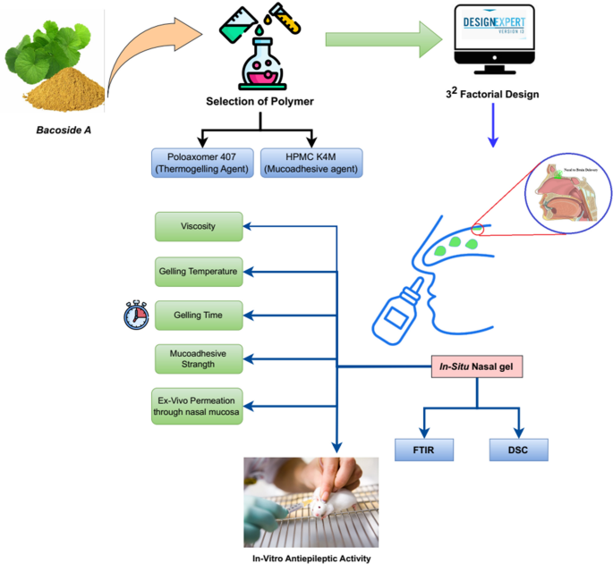 Formulation, Optimization and In-Vivo Characterization of Thermosensitive In-Situ Nasal Gel ...