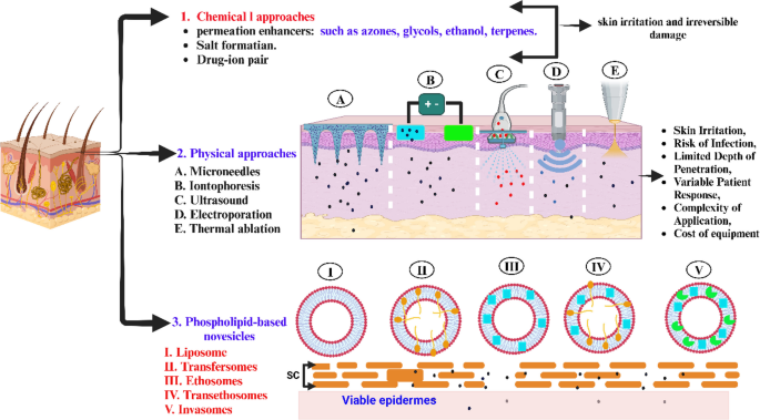 Beyond Skin Deep: Phospholipid-Based Nanovesicles as Game-Changers in ...